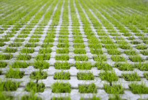 Top 11 Rainscaping Ideas for Sustainable Home Gardens