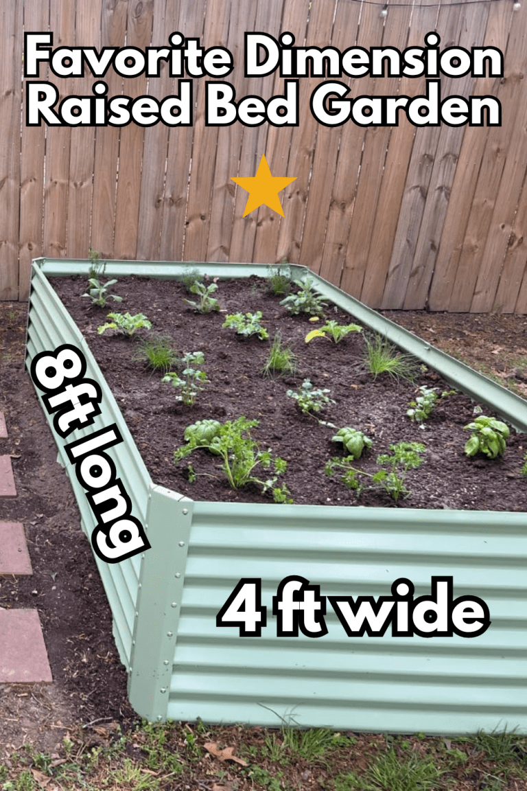 How to Avoid 17 Common Beginner Raised Bed Garden Mistakes
