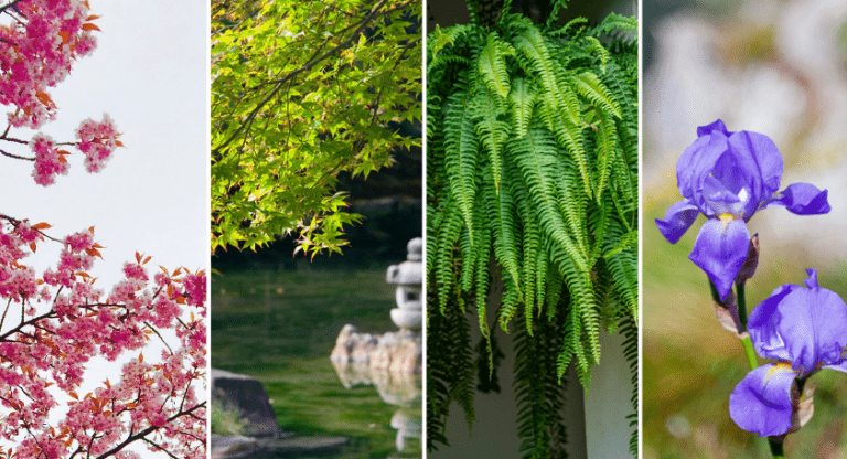 14 Japanese Garden Ideas That Inspire to Create Your Own Oriental Space