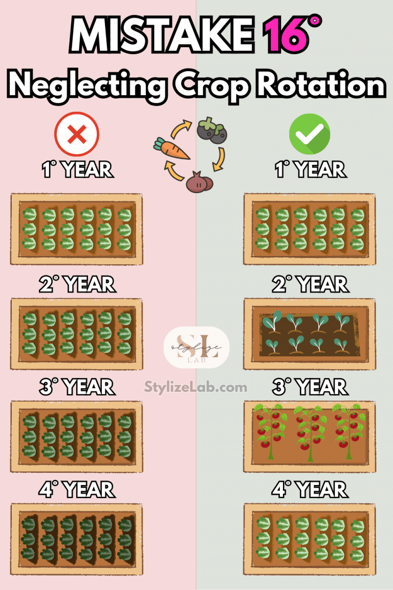 How to Avoid 17 Common Beginner Raised Bed Garden Mistakes